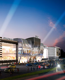 Megaline — construction company